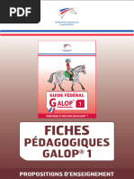 Théorie Galop 5 JArdy | PDF | Allure (équitation) | Equus (genre)