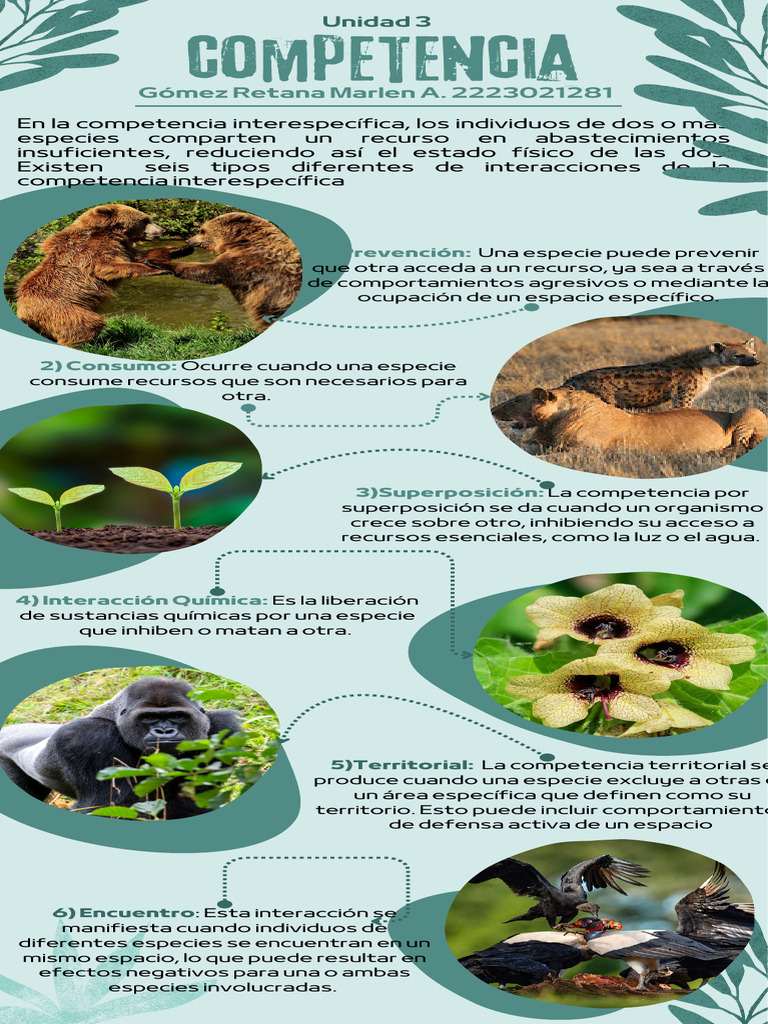 Plantas De Competencia Interespecifica