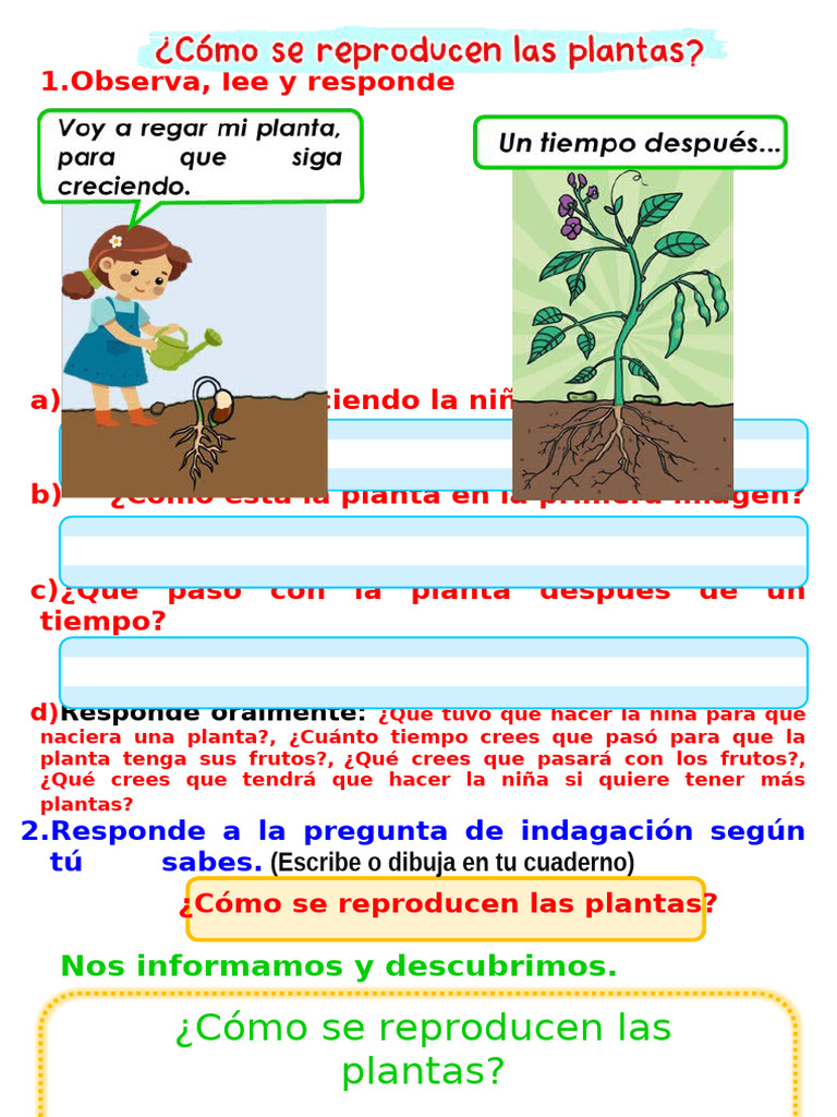 FICHA CÓMO SE REPRODUCEN LAS PLANTAS MAESTRA JANET | PDF