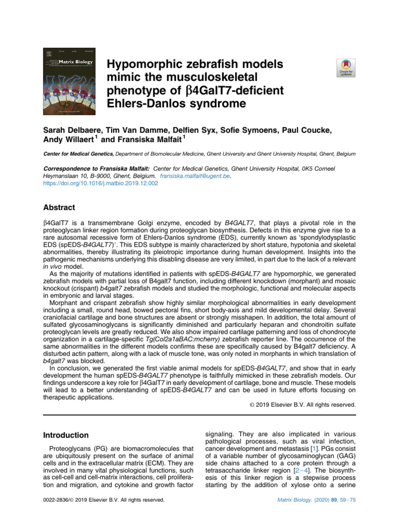 Delbaere Et Al. - 2020 - Hypomorphic Zebrafish Models Mimic The ...