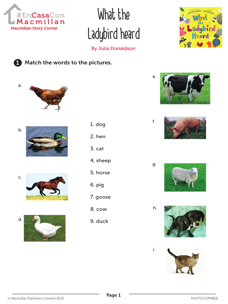 What The Ladybird Heard Activities | PDF | Mammals | Animals And Humans