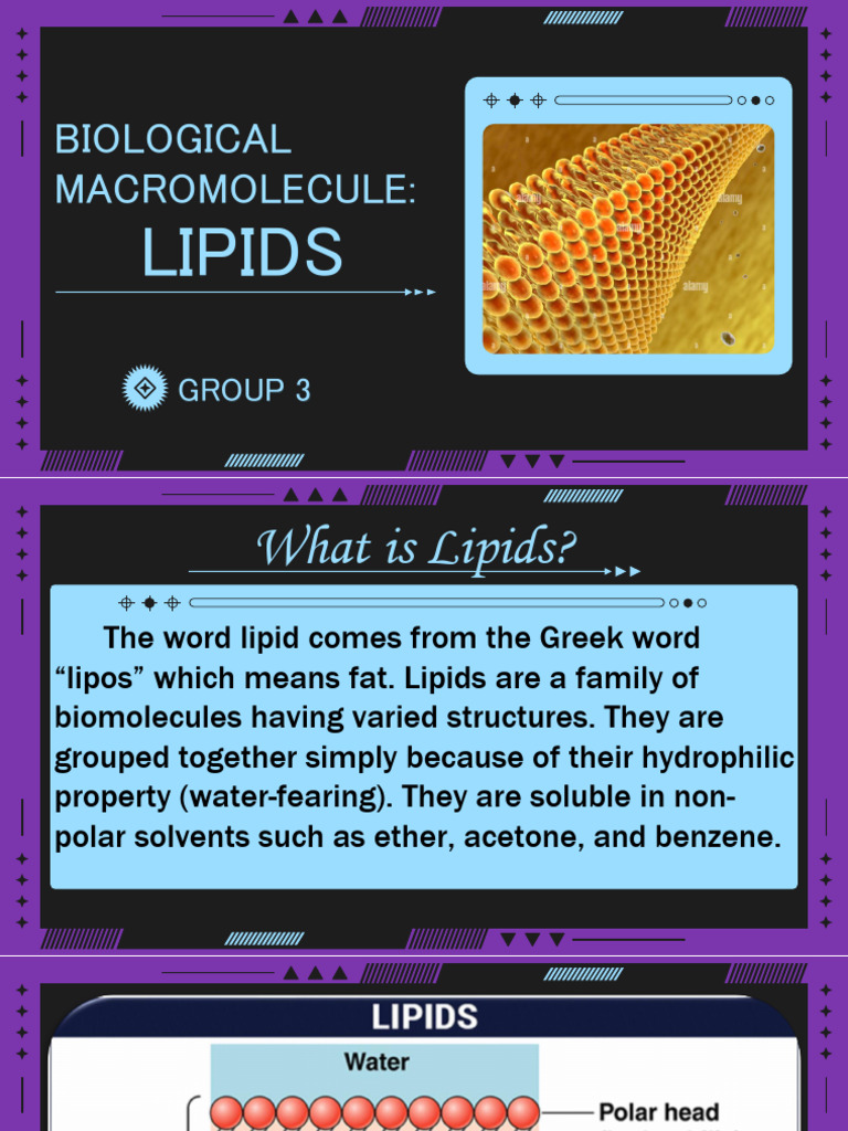Understanding Lipids: Types and Functions | PDF | Lipid | Triglyceride