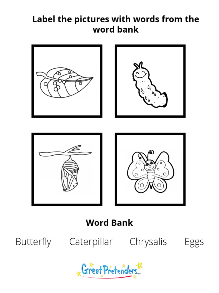 Label The Butterfly Life Cycle | PDF