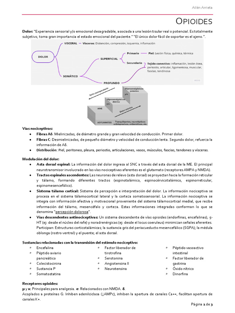 Opioides Resumen | PDF | Dolor | Fentanilo
