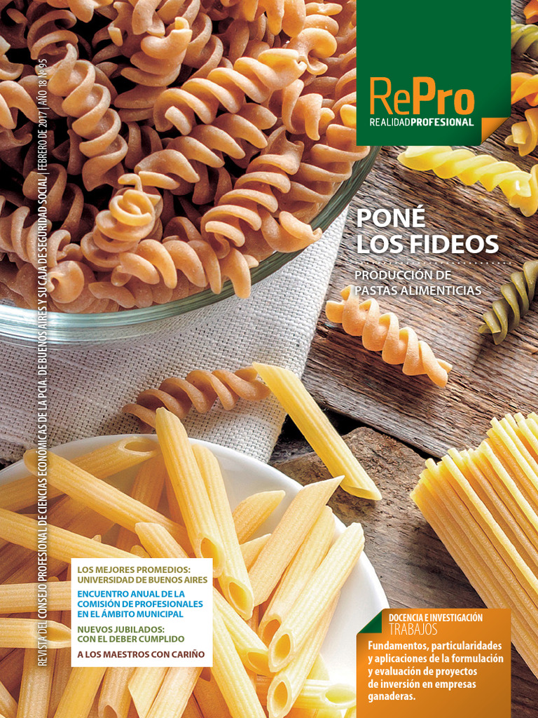 RePro_95 | PDF | Contabilidad | Privacidad