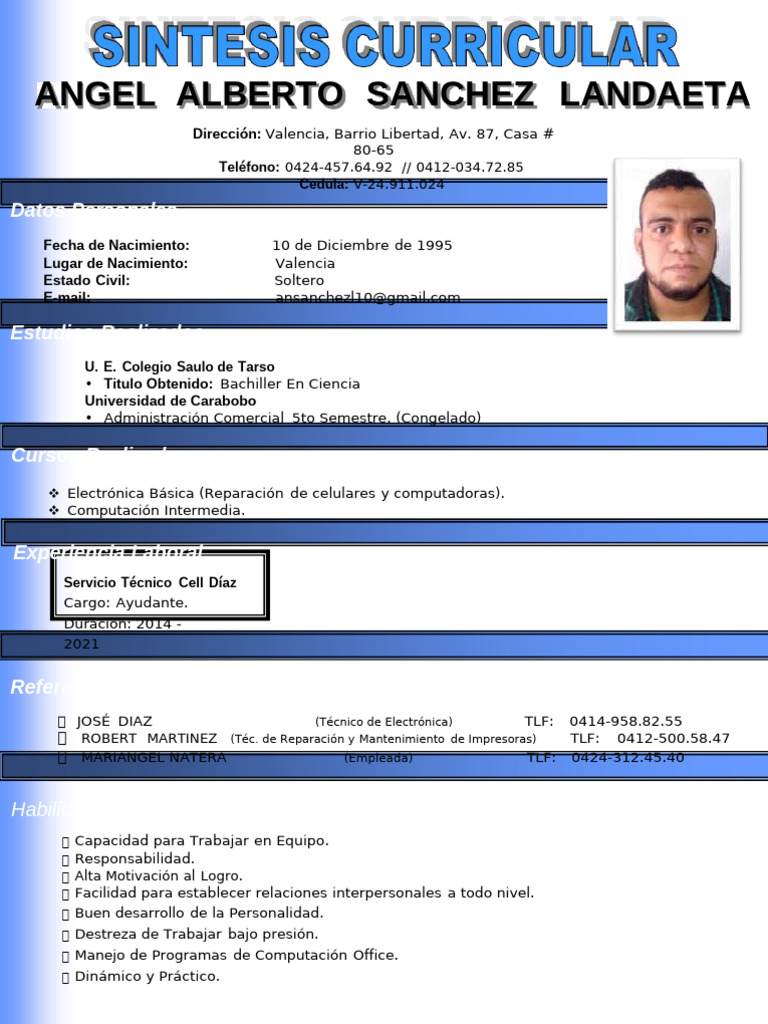 Curriculum Angel | PDF