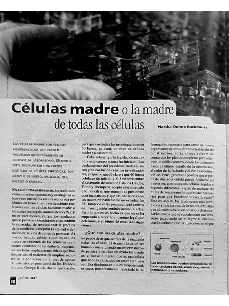 Células Madre o La Madre de Todas Las Células | PDF