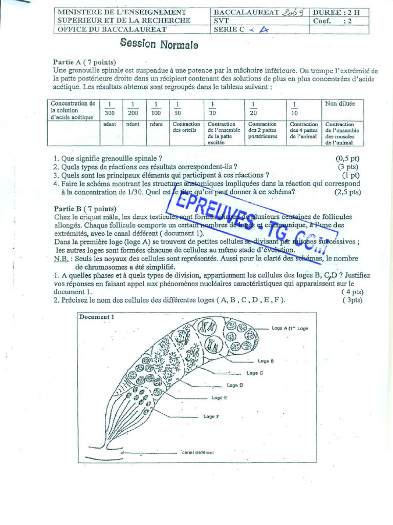 BAC.A.bio | PDF
