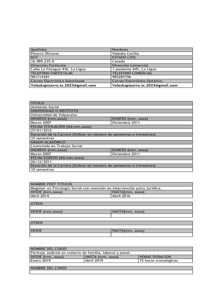 Formato LMcurriculum LMvitae Valeska Pizarro | PDF | Trabajo Social