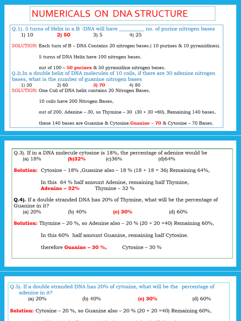 NUMERICALS ON DNA | PDF | Nucleotides | Dna