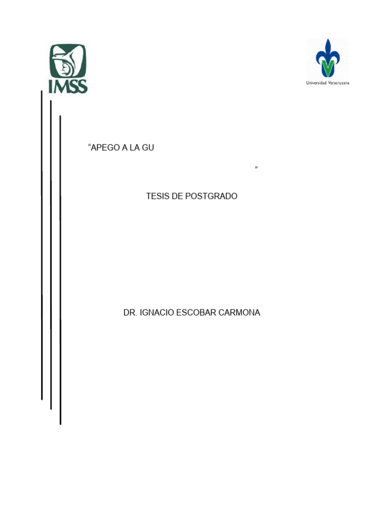 Apego 2.3 | PDF | Muerte materna | El embarazo