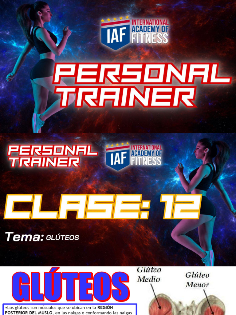 Clase 12 - Glúteos Anatomia - Personal Trainer Iaf | PDF | Nalgas ...