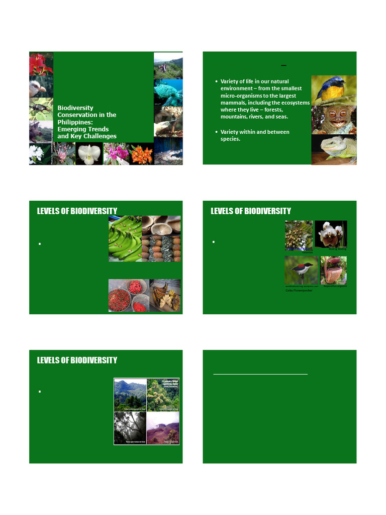 Biodiversity Conservation - 2024 | PDF | Biodiversity | Deforestation