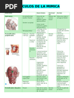 Músculos de La Mímica | PDF | Nariz humana | Anatomía humana