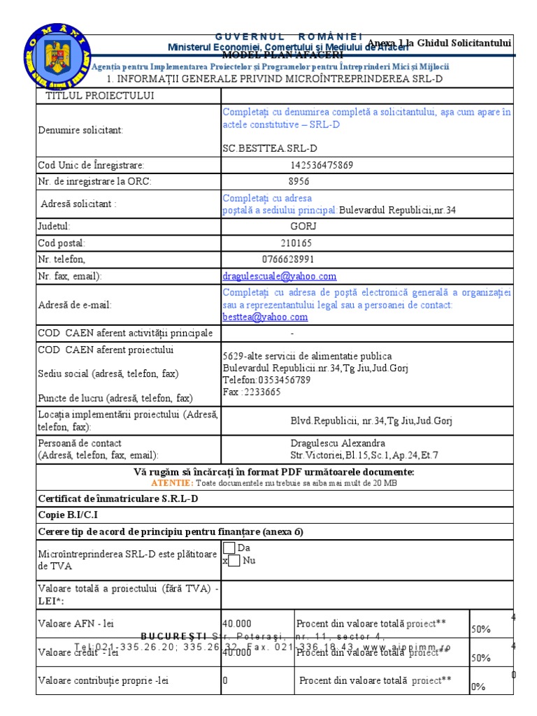 Anexa 1 Model Plan de Afaceri 2 | PDF
