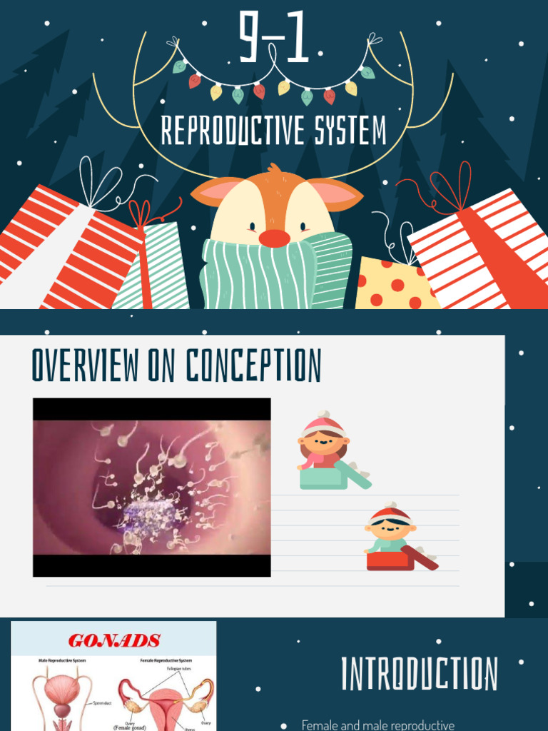Copy of Unit 9_ The Reproductive System | PDF | Menstrual Cycle | Anatomy