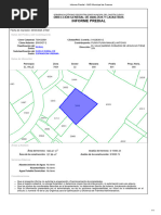 Informe Predial | PDF