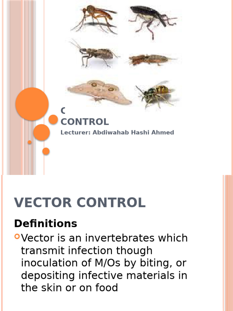 Chapter V Vector Control | PDF | Mosquito | Fly