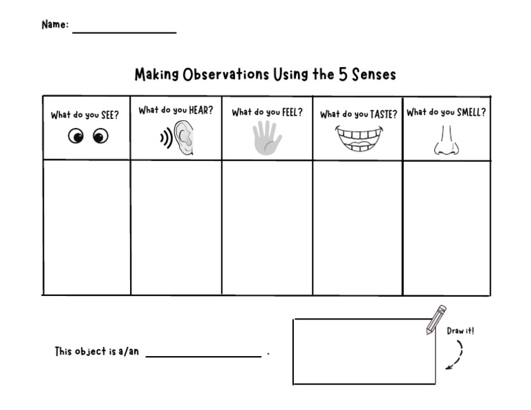 Making Observations Using The 5 Senses: Name | PDF