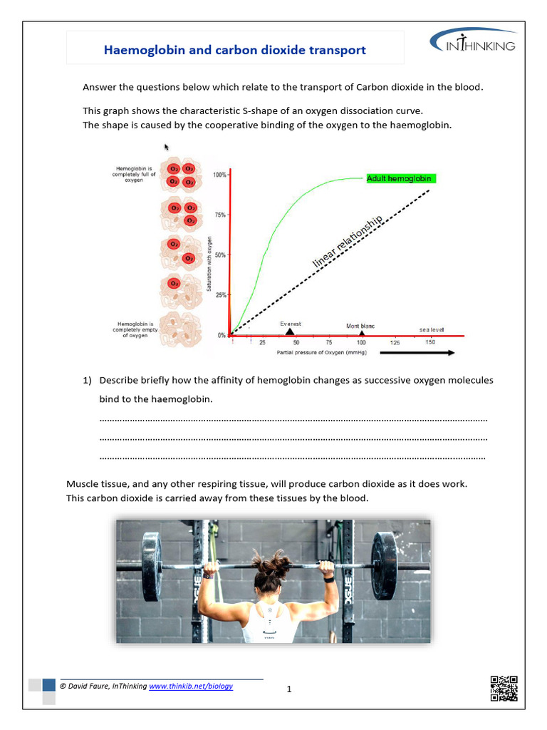 Transport Carbon Dioxide ss2025 | PDF