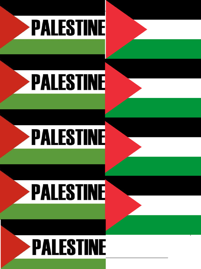 Palestine | PDF
