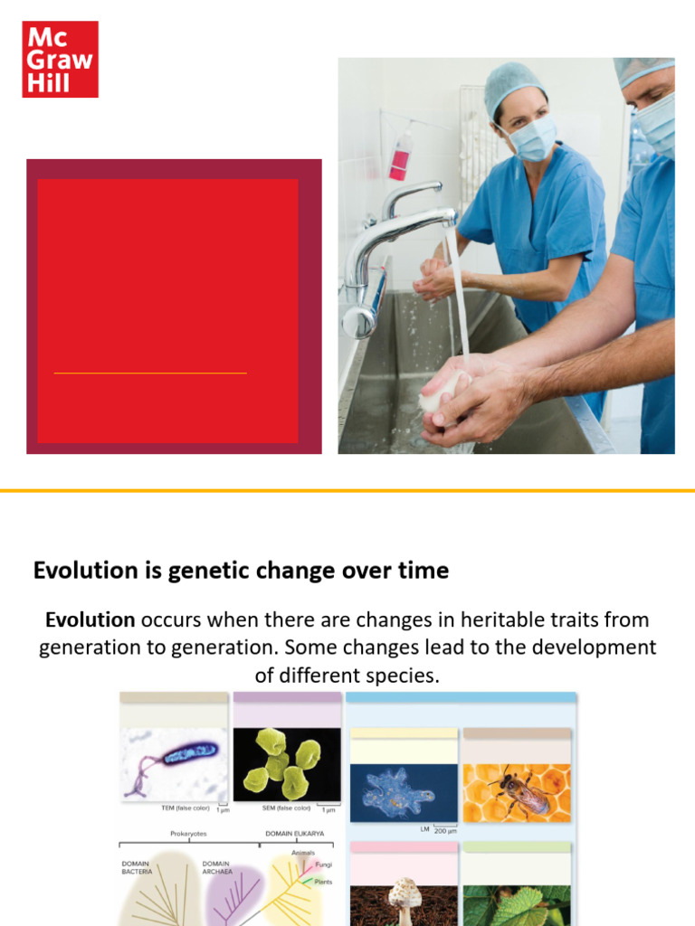 evolution | PDF | Dominance (Genetics) | Natural Selection