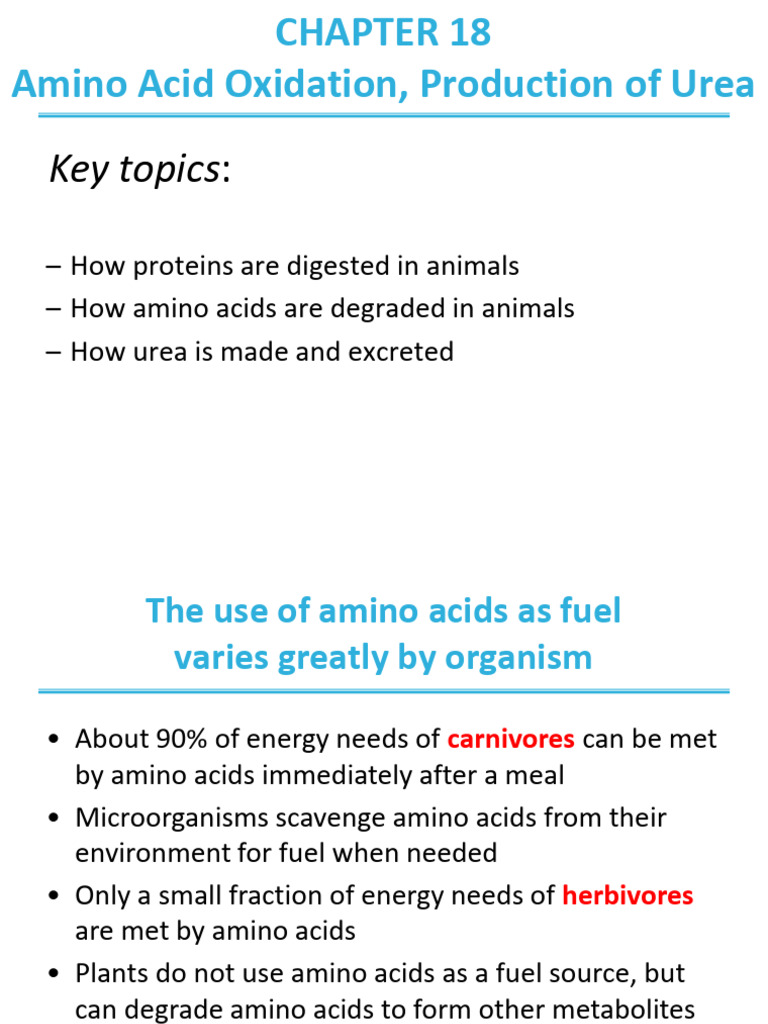 ch18 - Amino Acid Oxidation Production of Urea-Ed-1-7-10-18 | PDF ...