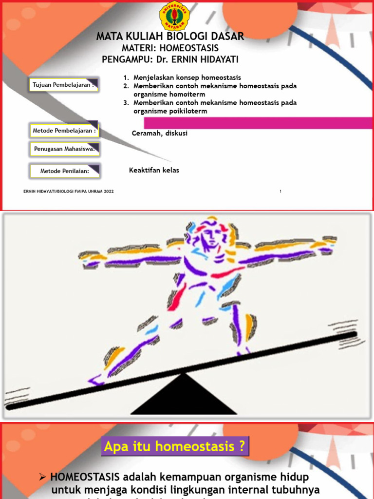 2024 - 1 7 Homeostasis | PDF | Pengembangan Diri | Kesehatan Holistik