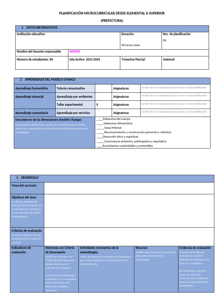 Formato de Planificación CHANGO | PDF | Plan de estudios | Evaluación