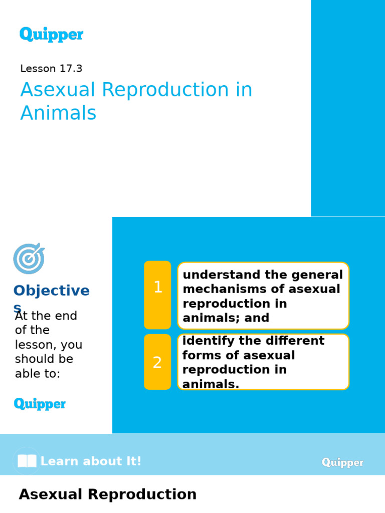 Asexual Reproduction in Animals Explained | PDF | Reproduction ...
