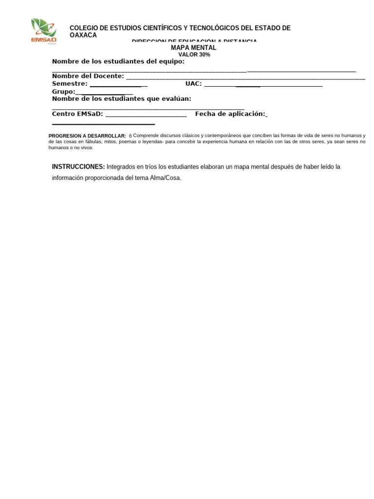 PROGRESION 6 Rubrica Del Mapa Mental | PDF | Alma