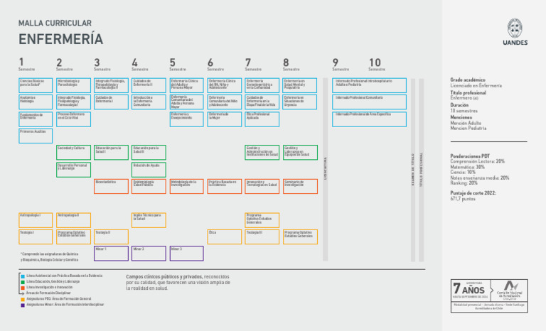 Malla-Enfermeria | PDF | Enfermería | Adultos