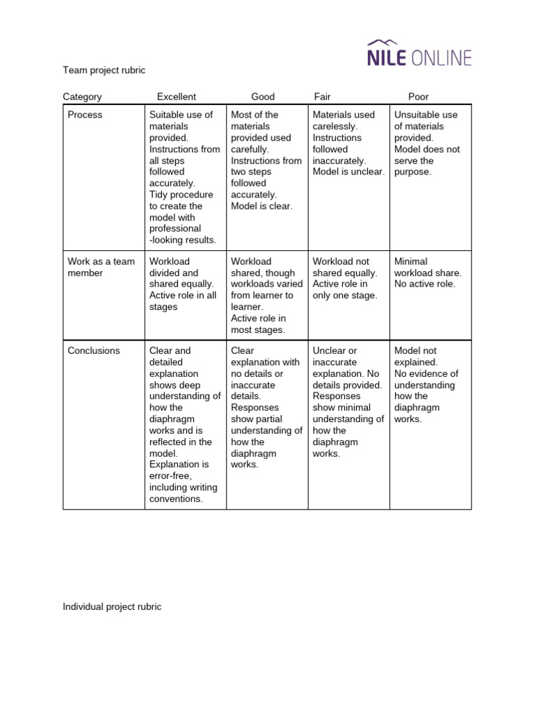 Team Project and Individual Rubric | PDF | Cognition | Learning