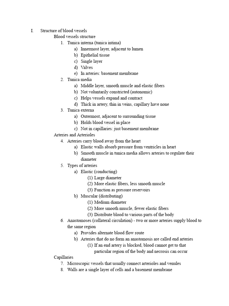 Section 3 Anatomy and Physiology | PDF | Artery | Capillary