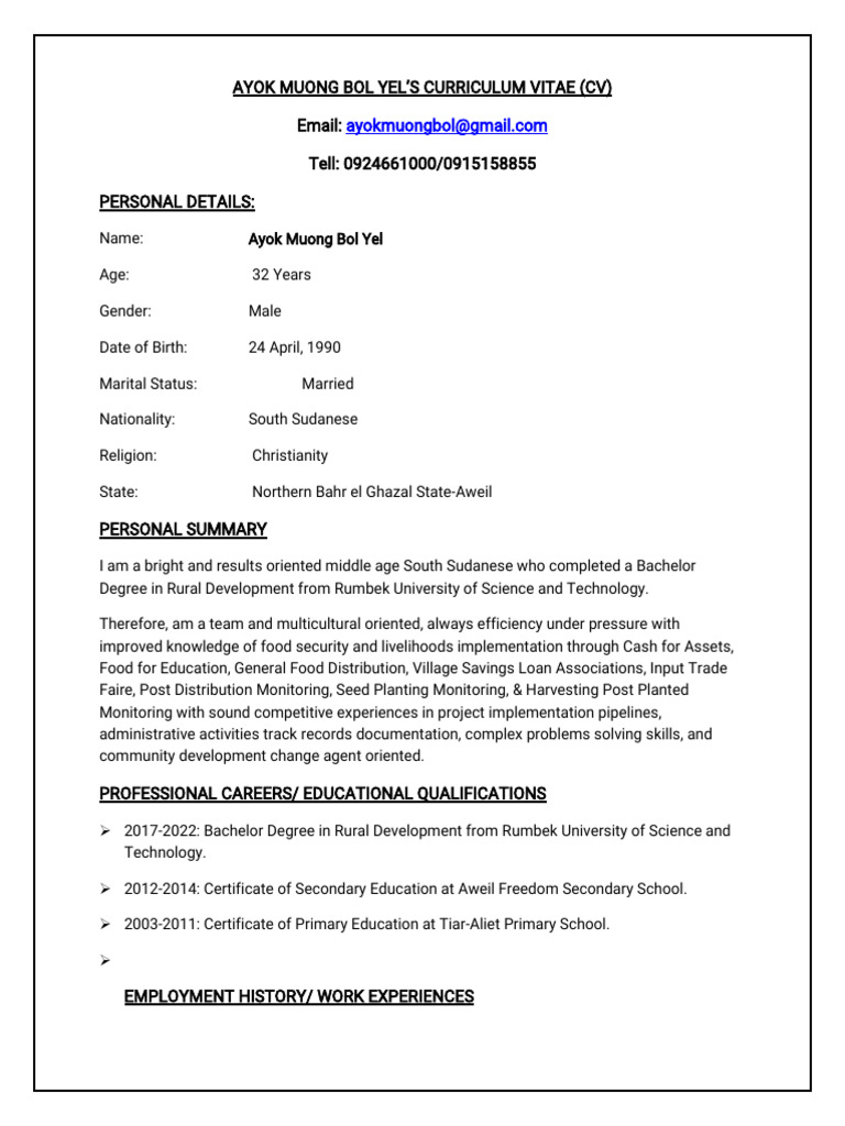 AYOK CV Details | PDF