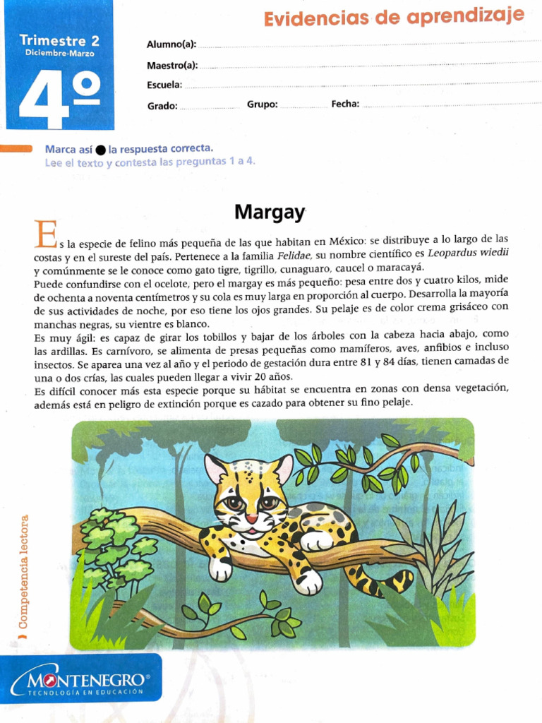 ExamenMontenegro4grado Trim2 2022 2023 | PDF