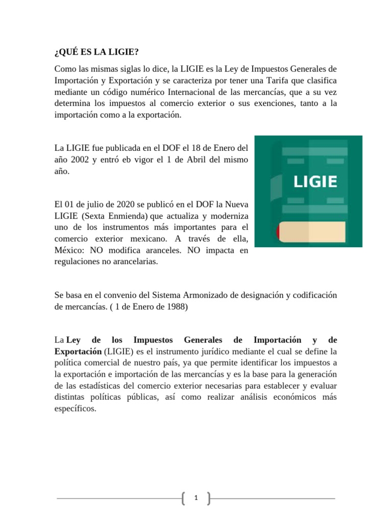 Trabajo Ligie | PDF | aduana | Arancel