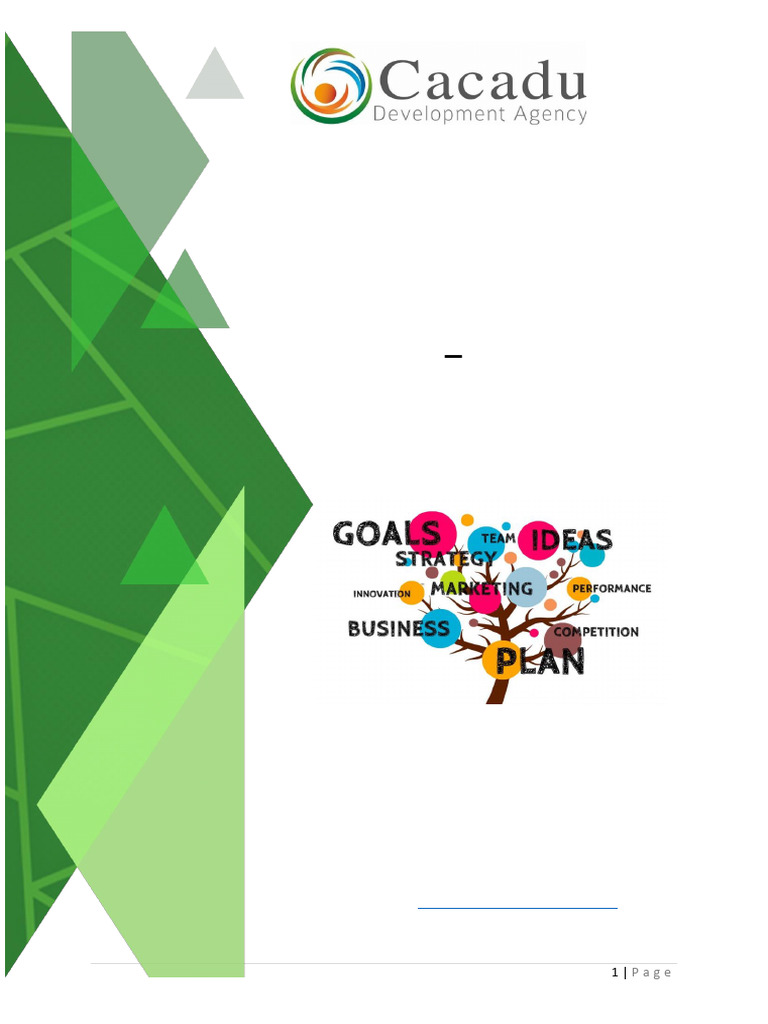 Five Year Strategic Plan 2023.28 Final | PDF | Strategic Planning ...