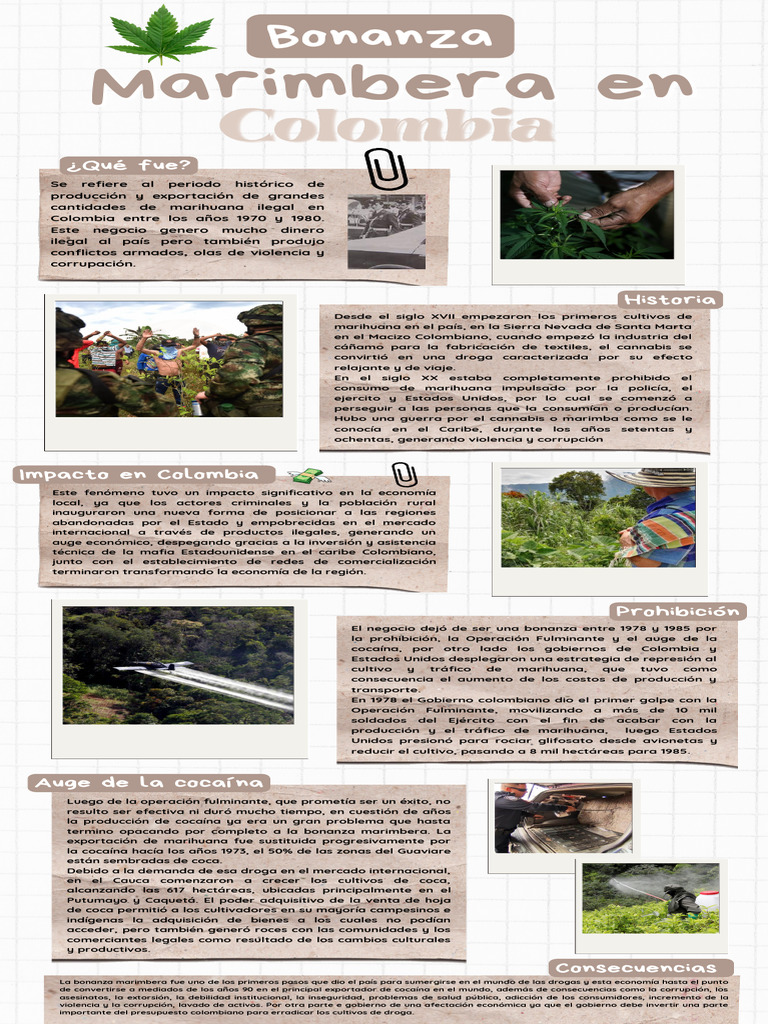 Bonanza Marimbera: Historia y Consecuencias | PDF | Cannabis (Droga ...