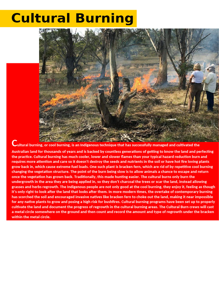 Cultural Burning Newsletter Improved | PDF | Wildfire | Natural Environment