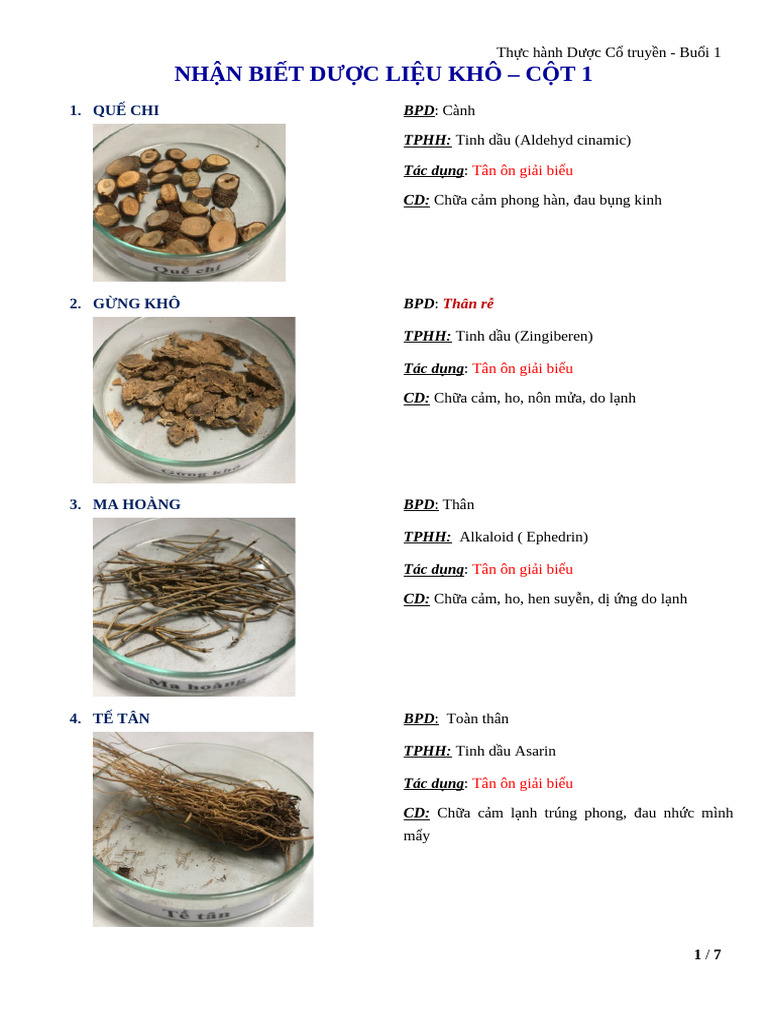 01 Thuc Hanh Duoc Co Truyen - Kiem Tra BUOI 1 Ngay 02-07-23 HC | PDF
