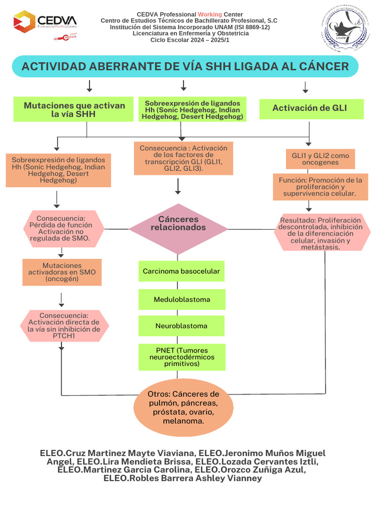 Blue Illustration Process of Hospital Patient Admission Flowchart ...