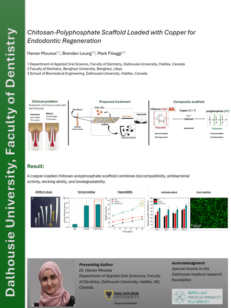 Chitosan 2 | PDF | Language Arts & Discipline | Wellness