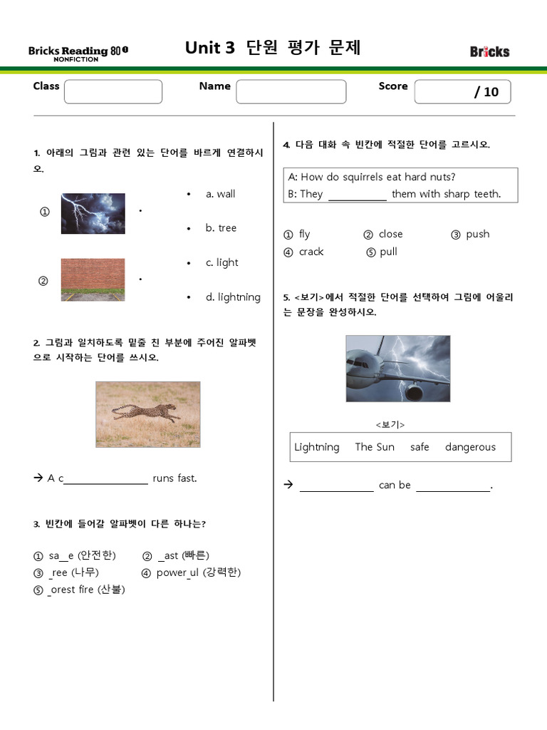 Bricks Reading 80 Nonfiction - L1 - Unit Test - Unit 03 | PDF