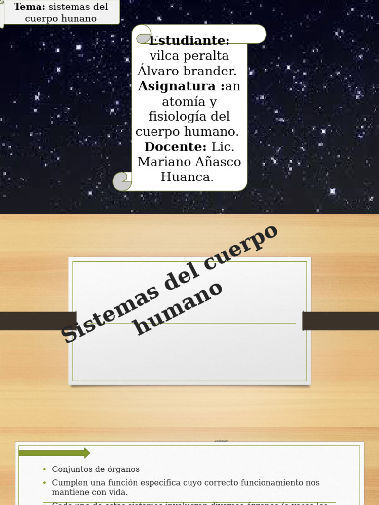 Sistemas del cuerpo humano presentacion pdf. | PDF | Esqueleto | Sistema reproductivo