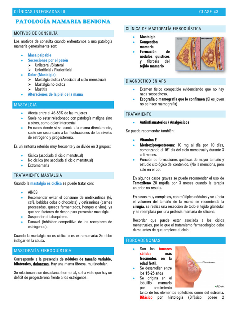 Patología Mamaria Benigna: Diagnóstico y Tratamiento | PDF | Pecho ...
