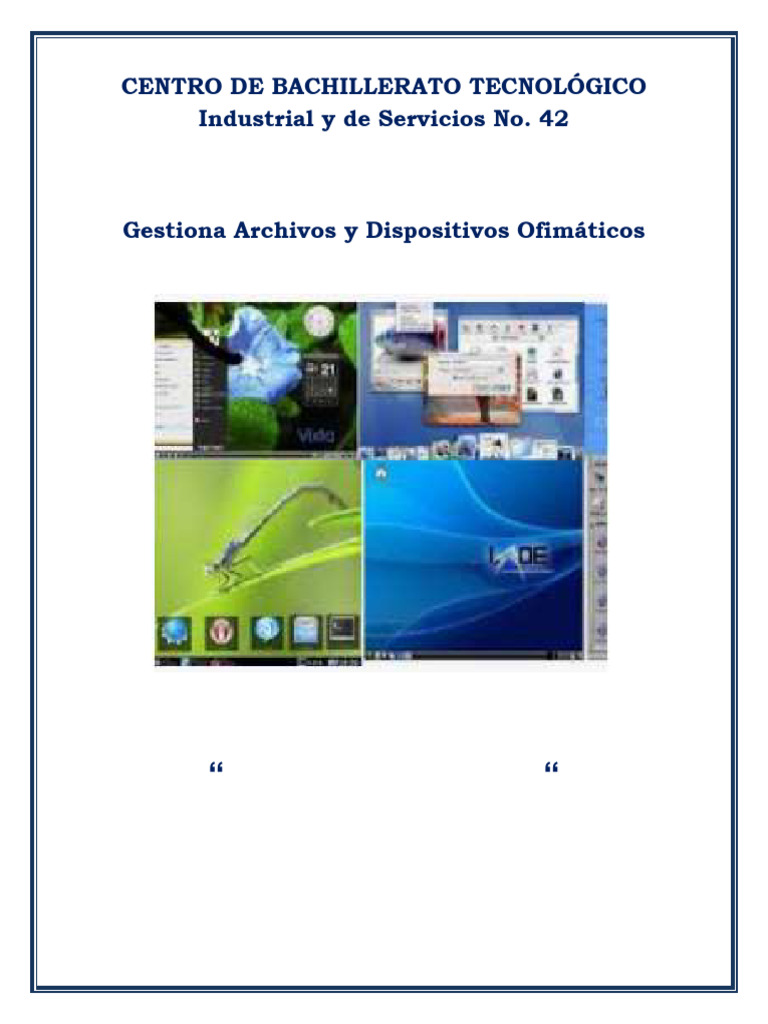 Interfaz Grafica 1 | PDF | Interfaces gráficas de usuario | Archivo de computadora