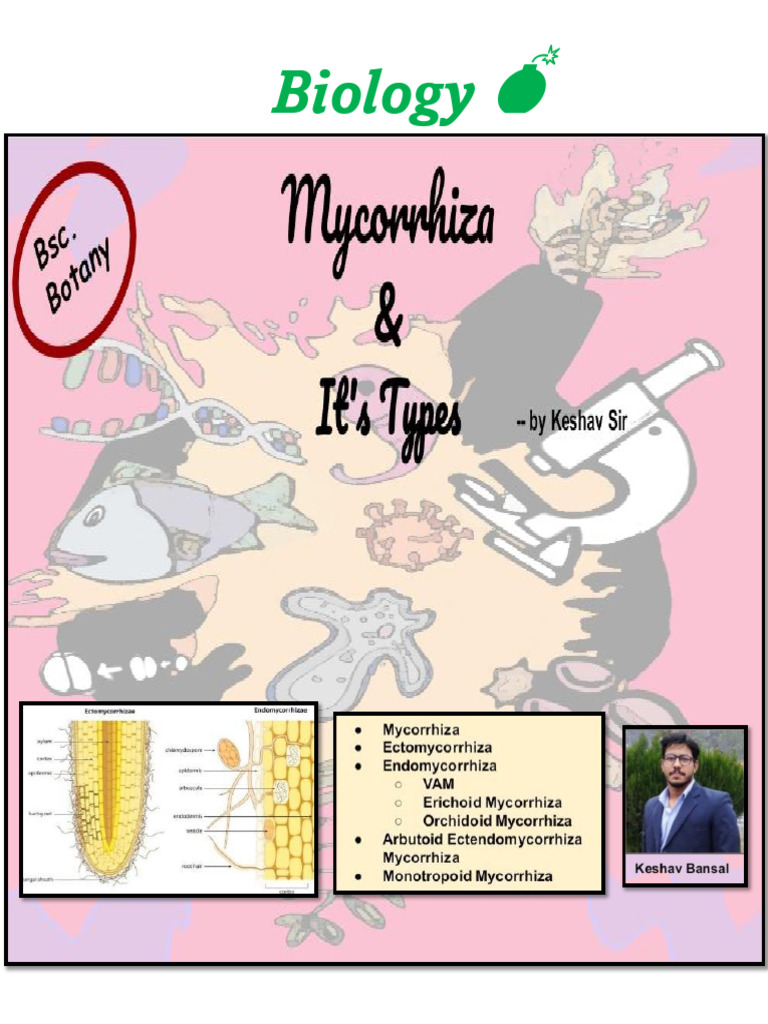 Mycorrhiza by Biology Bomb | PDF | Eukaryotes | Fungus