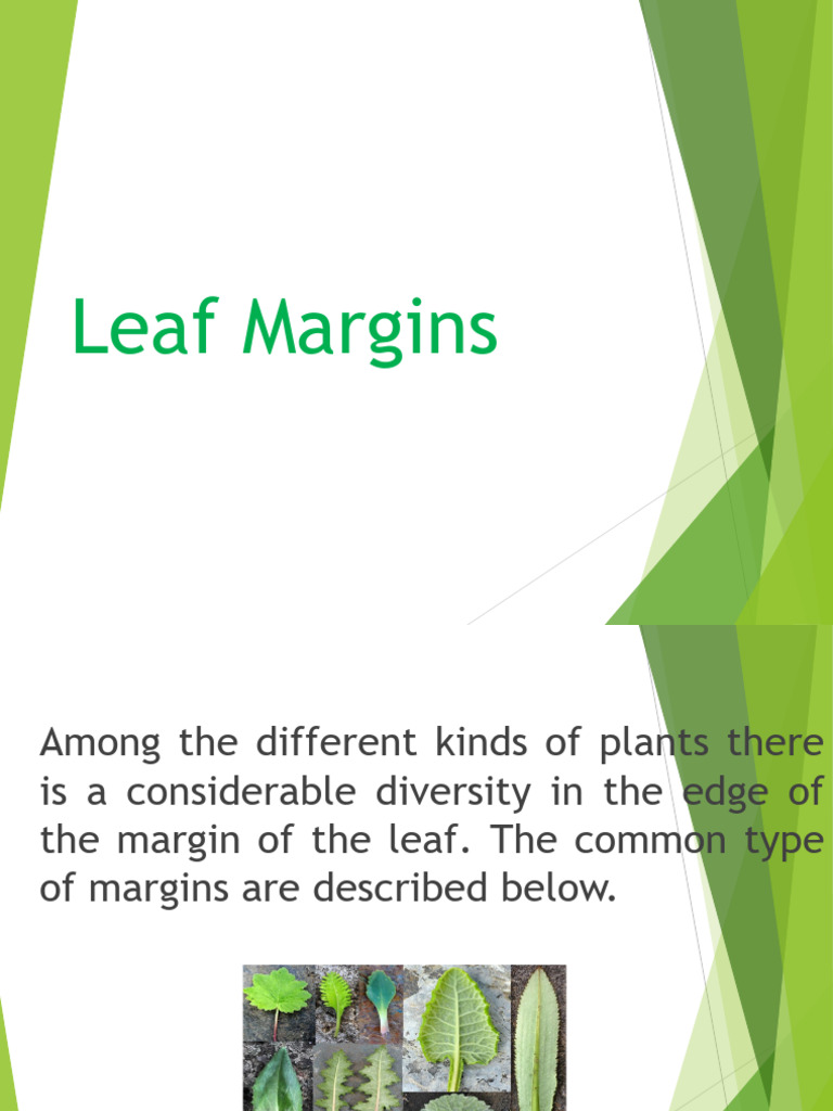 Leaf Margin | PDF