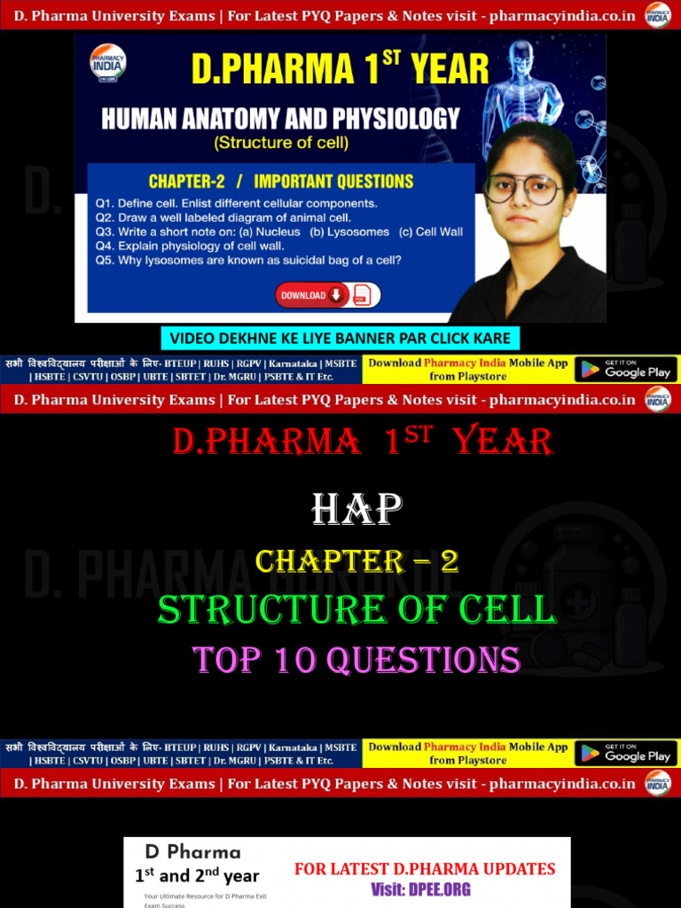 HAP 10 Questions CH 2 | PDF